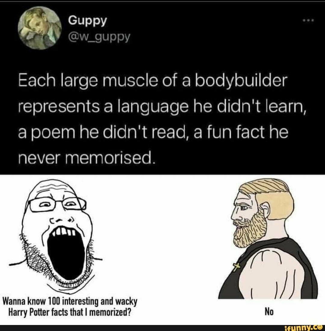Re. We Each large muscle of a bodybuilder represents a language he didn ...