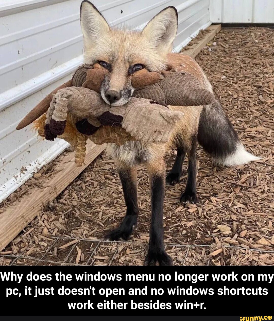 Shortcuts memes. Best Collection of funny Shortcuts pictures on iFunny