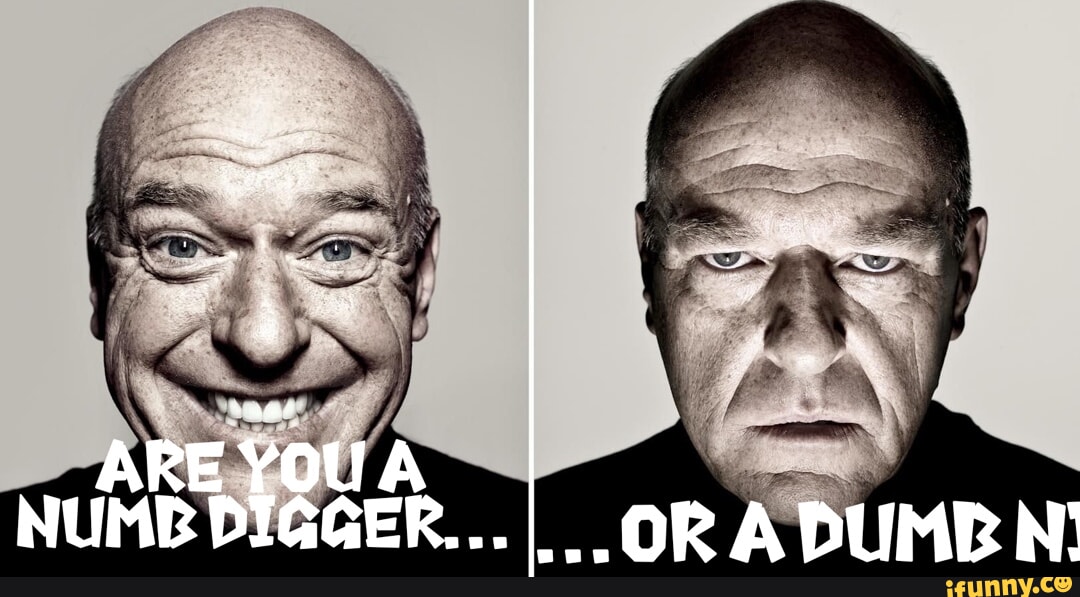 ARE YOU A NUMB DIGGER...I. OR A DUMB N' - iFunny