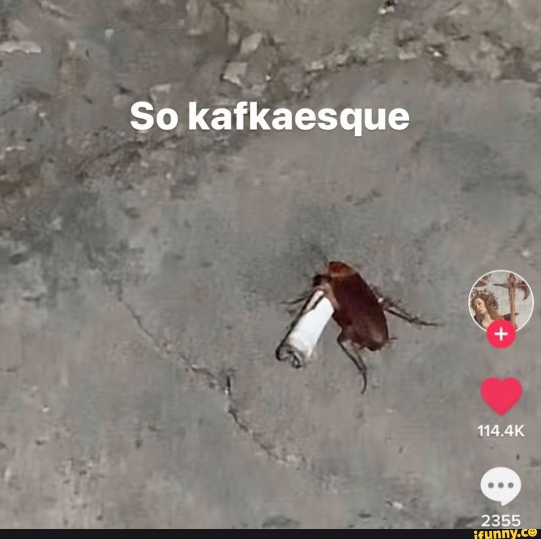 Kafkaesque memes. Best Collection of funny Kafkaesque pictures on iFunny