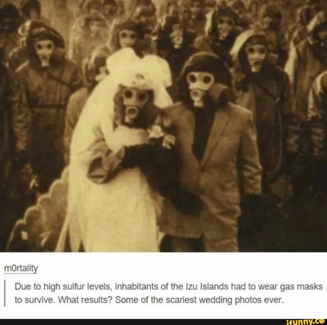 Sulfur memes. Best Collection of funny Sulfur pictures on iFunny