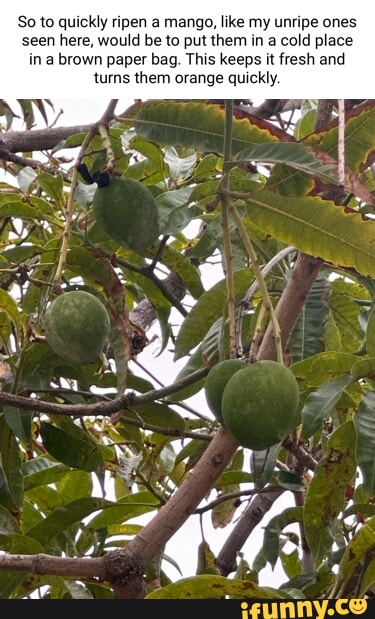 Tums memes. Best Collection of funny Tums pictures on iFunny