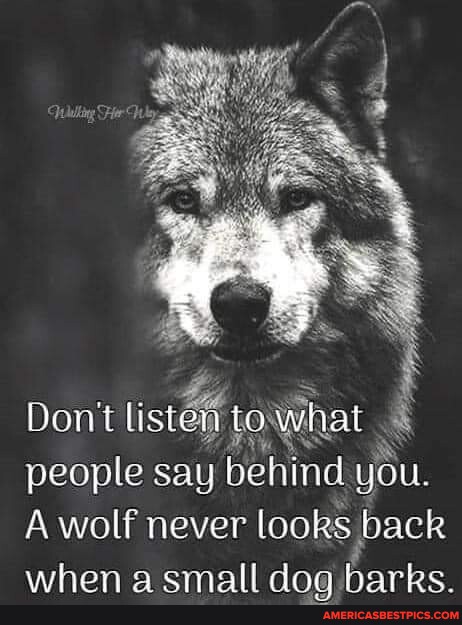 Dont listen to what people say behind you. A wolf never looks back when ...