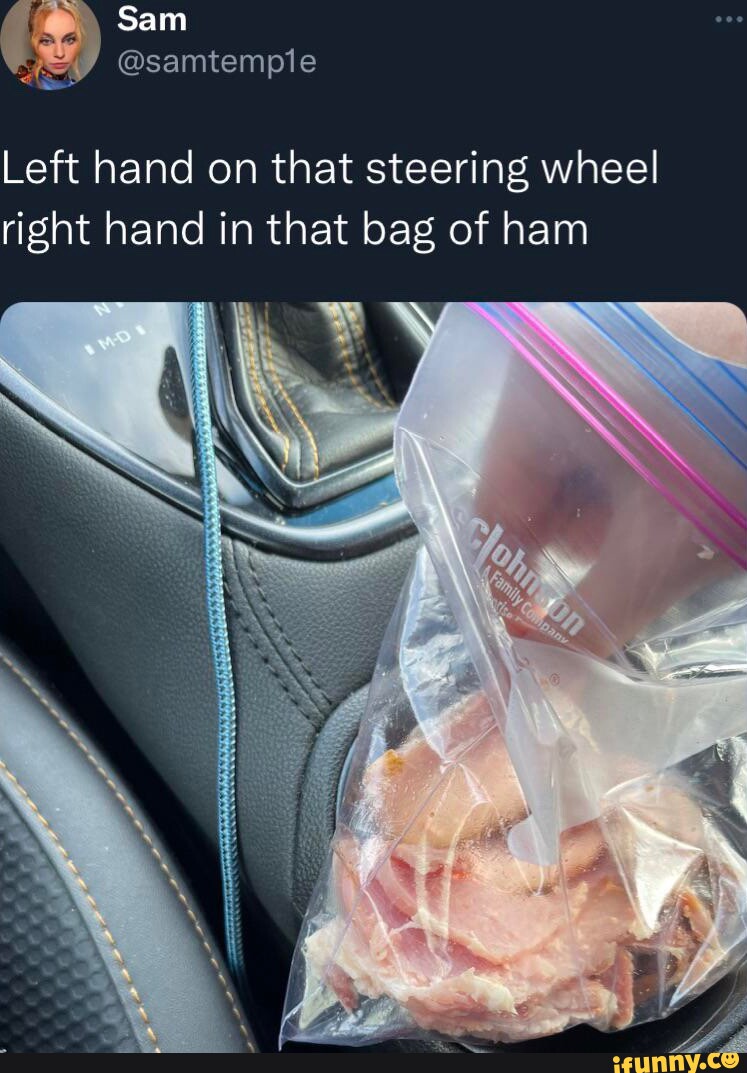 Sam Left hand on that steering wheel right hand in that bag of ham - iFunny