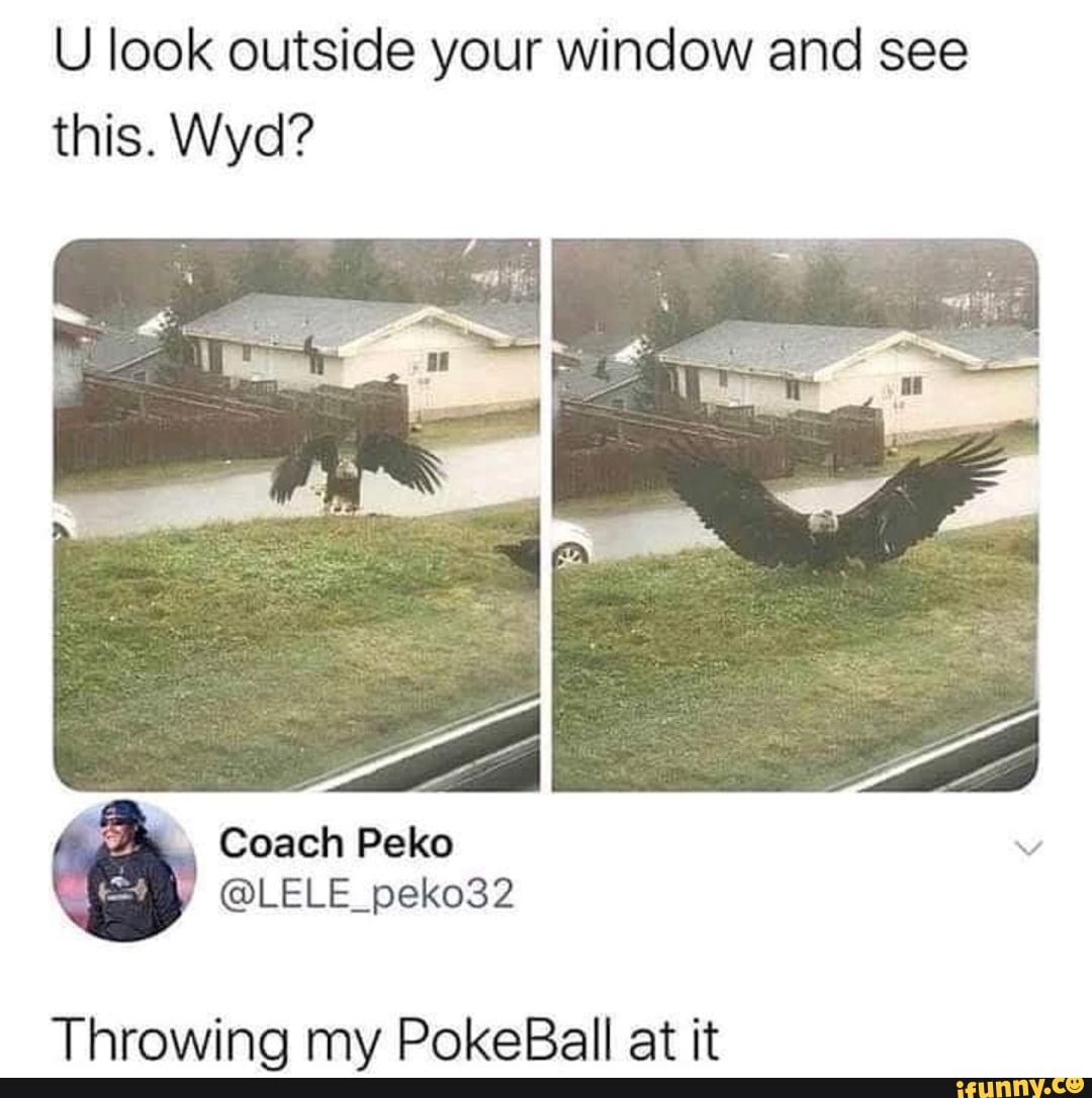 Goach memes. Best Collection of funny Goach pictures on iFunny