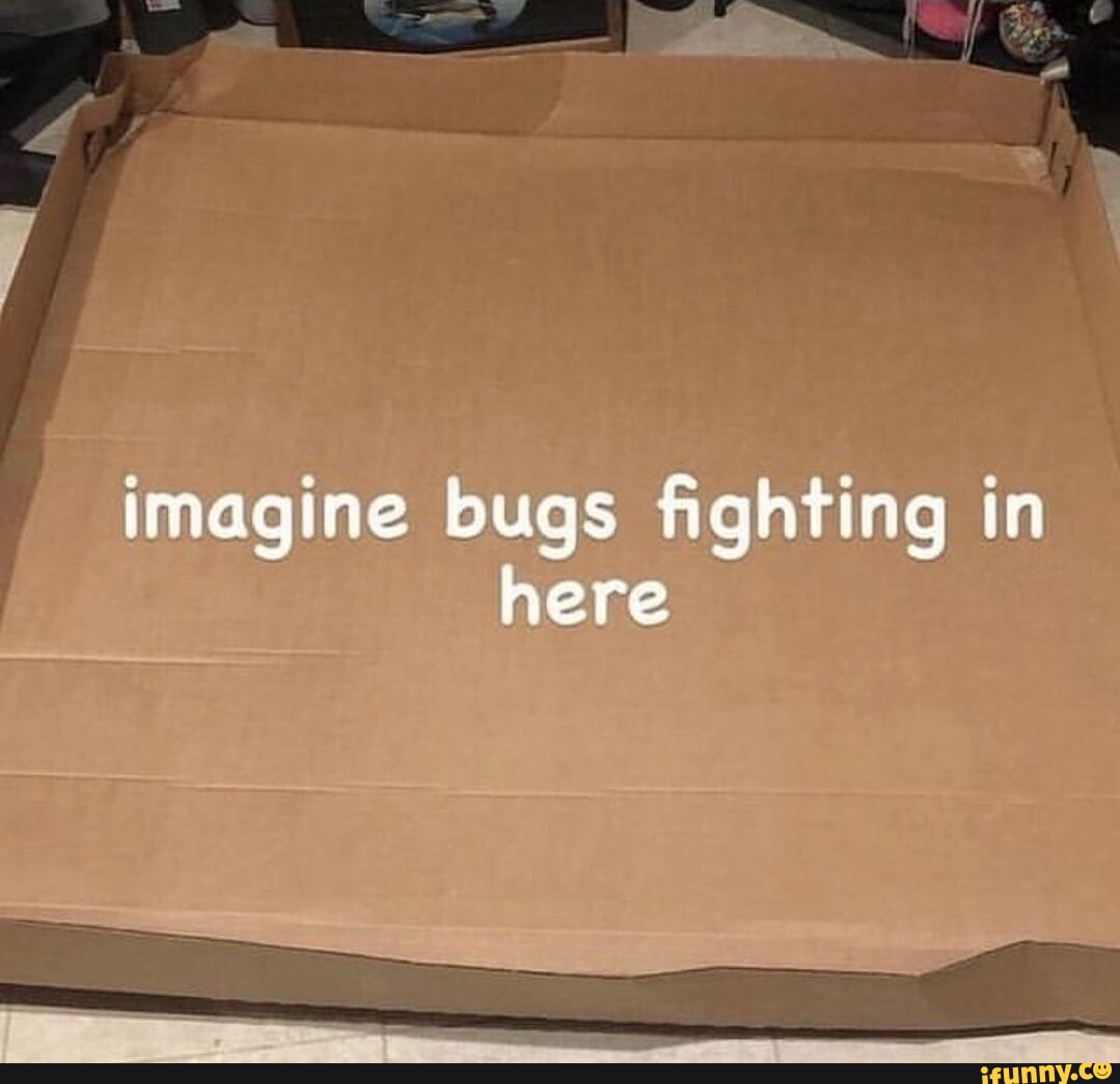 Imagine bugs fighting in here - iFunny