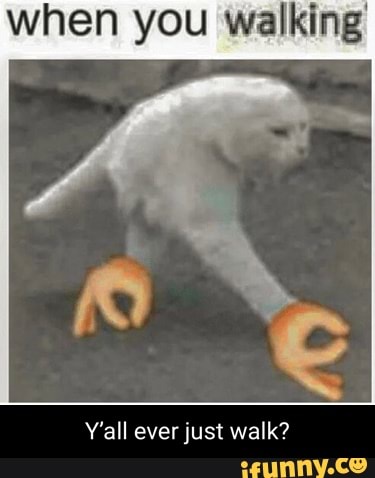 Catwalk memes. Best Collection of funny Catwalk pictures on iFunny