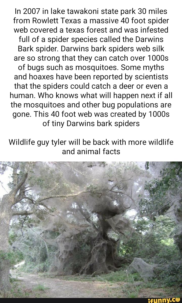 In 2007 in lake tawakoni state park 30 miles from Rowlett Texas a ...