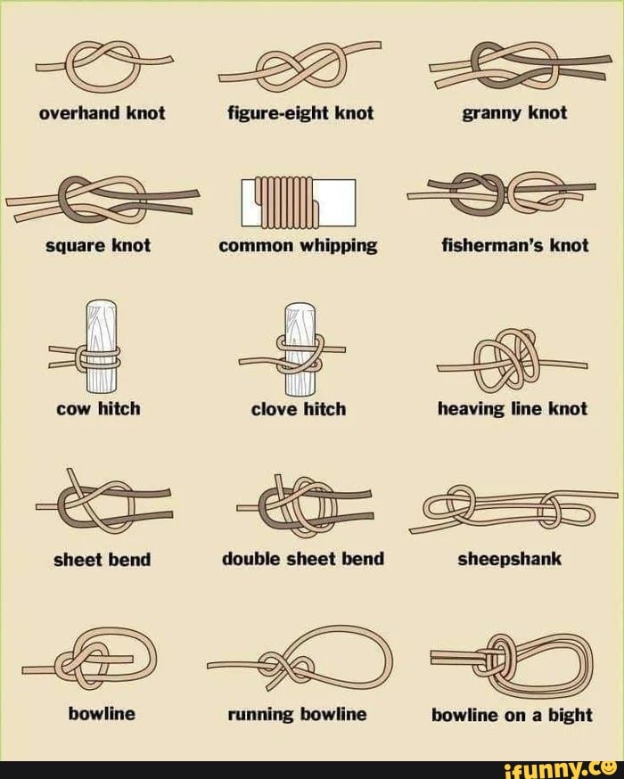 Overhand Knot Figure eight Knot Granny Knot Square Knot Common Whipping Overhand Knot Figure eight Knot Granny Knot Square Knot Common Whipping
