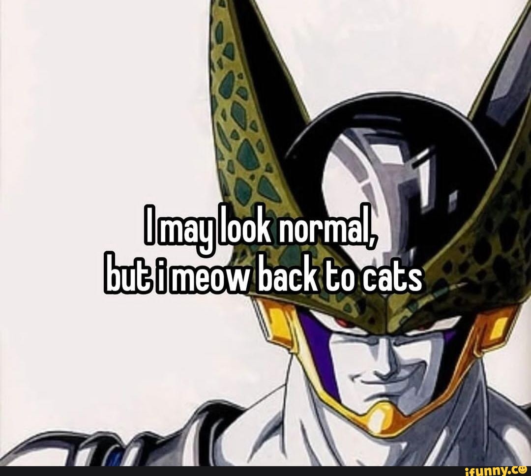Normal but back to cats - iFunny
