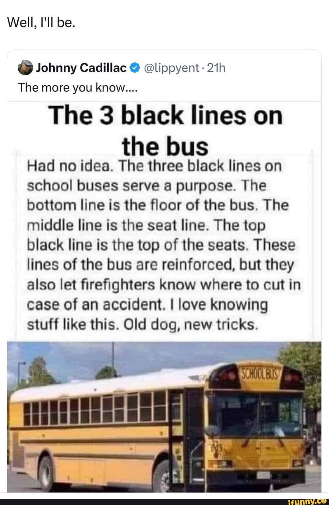 iFunny - the best memes, video, gifs and funny pics in one place