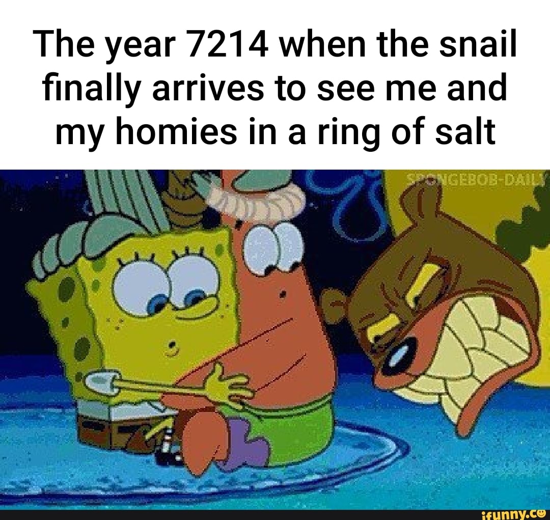 Seabear memes. Best Collection of funny Seabear pictures on iFunny