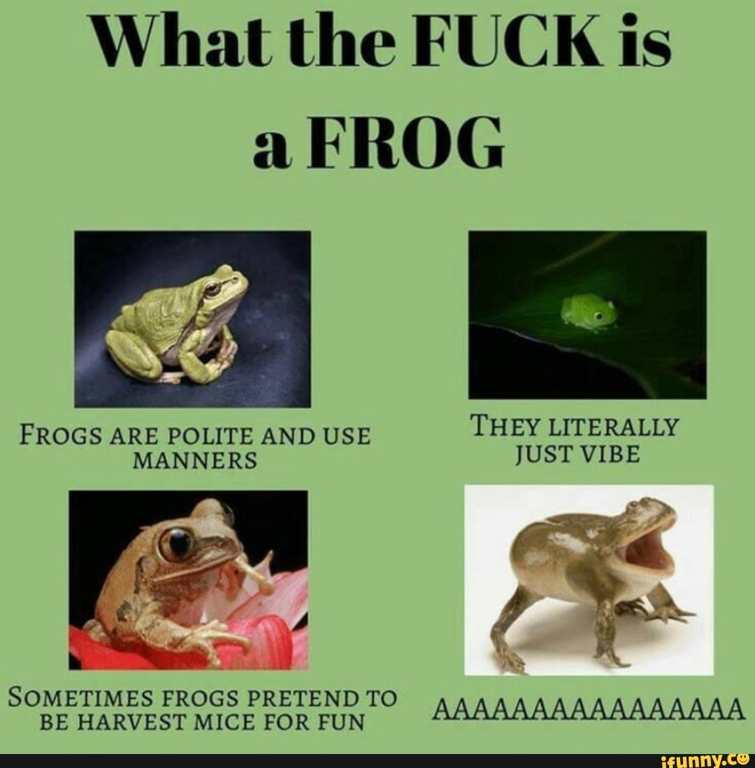 What the FUCK is a FROG FROGS ARE POLITE AND USE THEY LITERALLY MANNERS ...