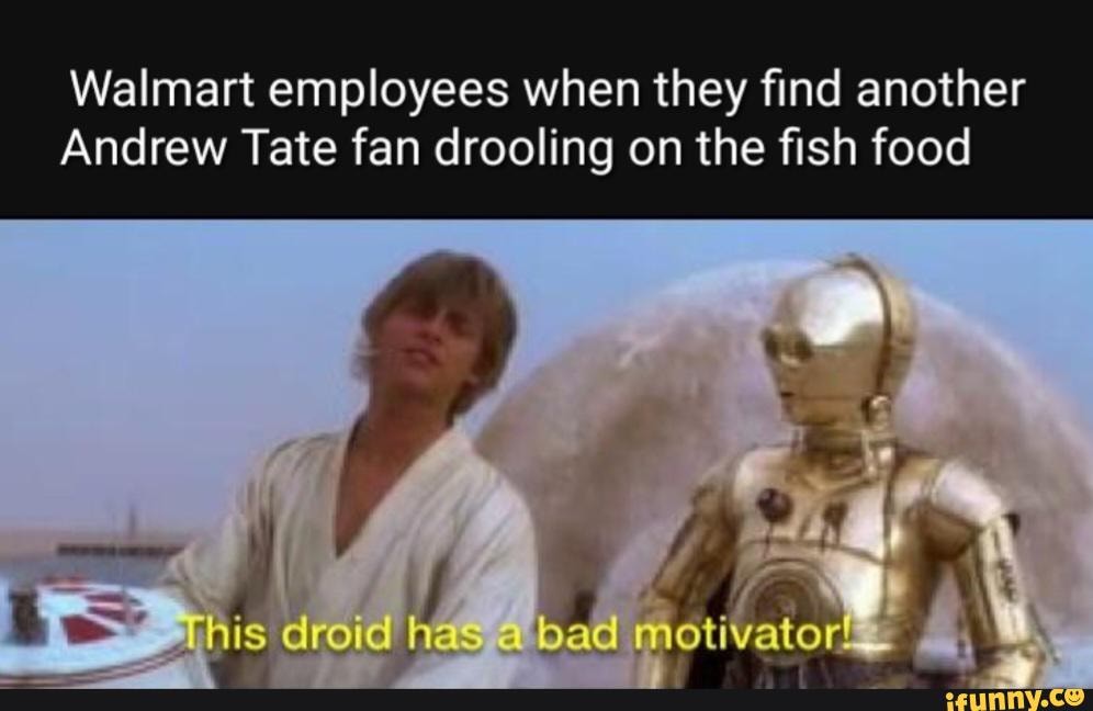 Walmart employees when they find another Andrew Tate fan drooling on ...