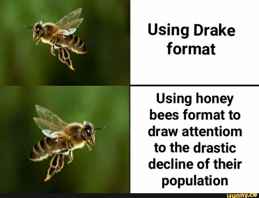 Using Drake format Using honey bees format to draw attentiom to the ...