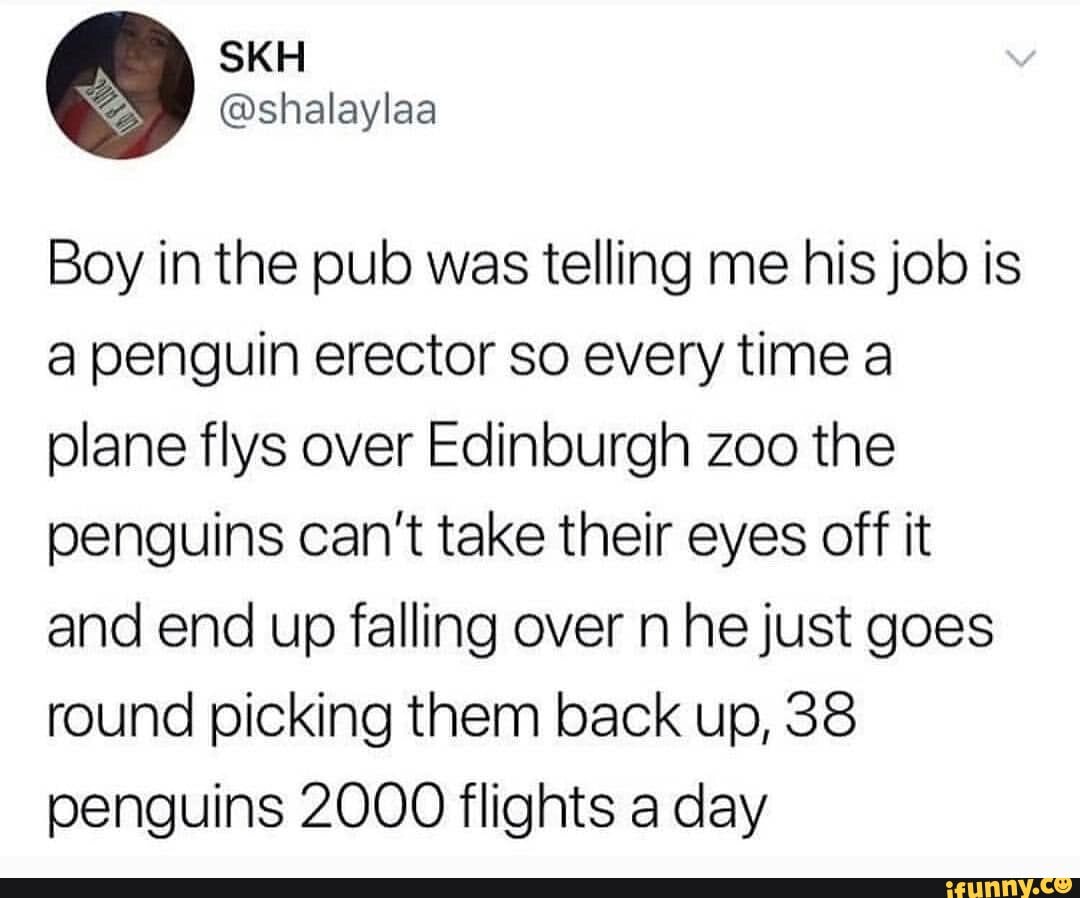 Boy in the pub was telling me his job is a penguin erector so every ...