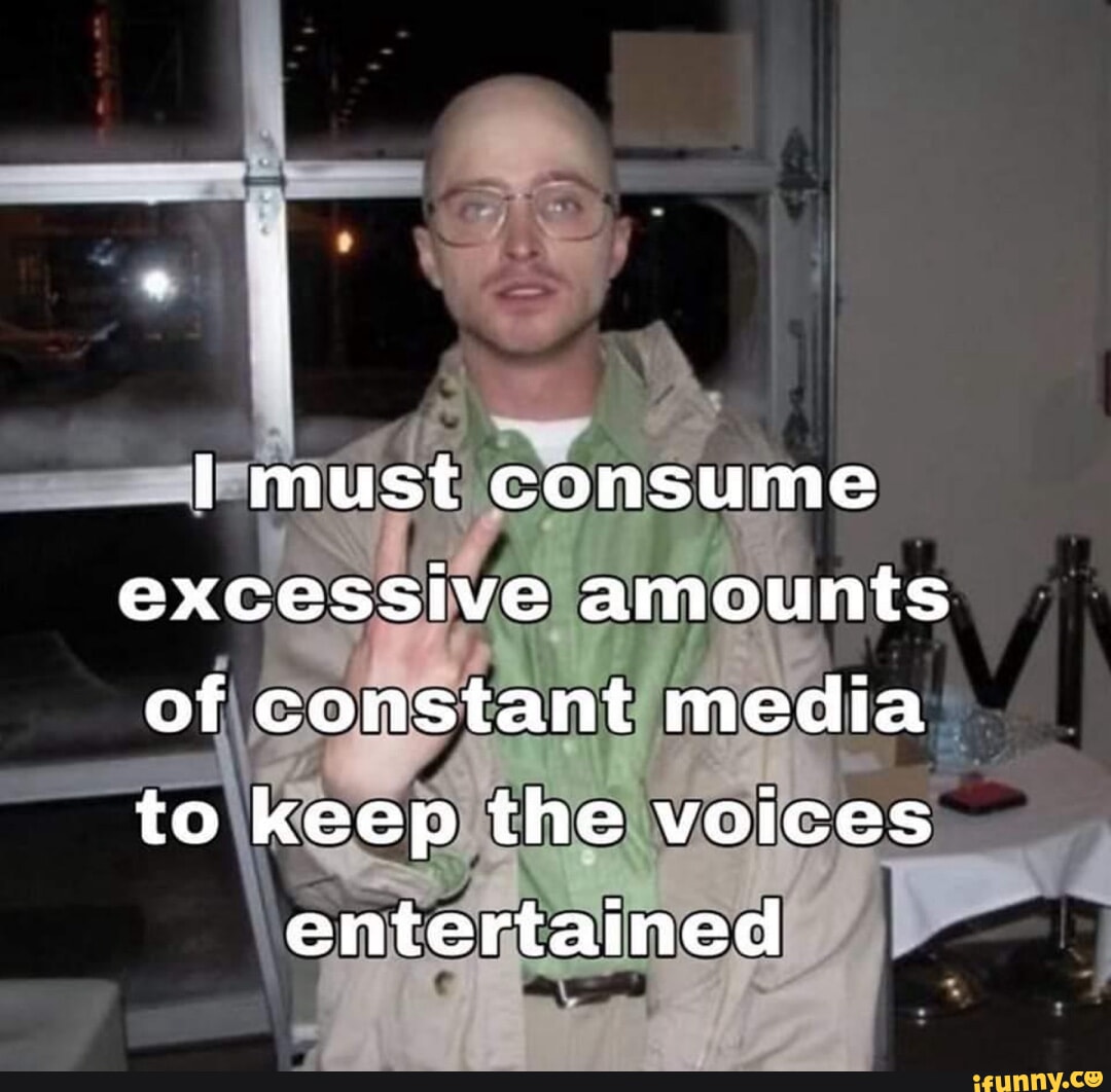 I must consume excessive amounts of constant media to keep the voices ...