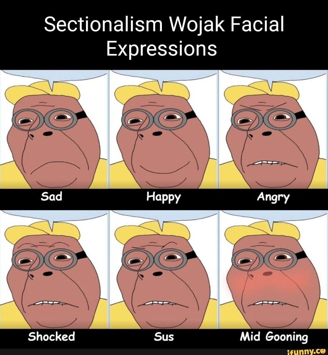 Sectionalism Wojak Facial Expressions Sad Happy Angry Shocked Sus Mid ...