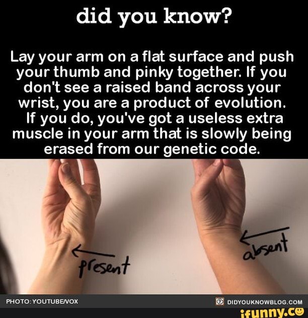 Did you know? Lay your arm on a flat surface and push your thumb and ...