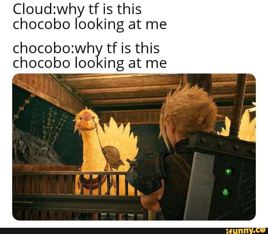 Chocobo memes. Best Collection of funny Chocobo pictures on iFunny