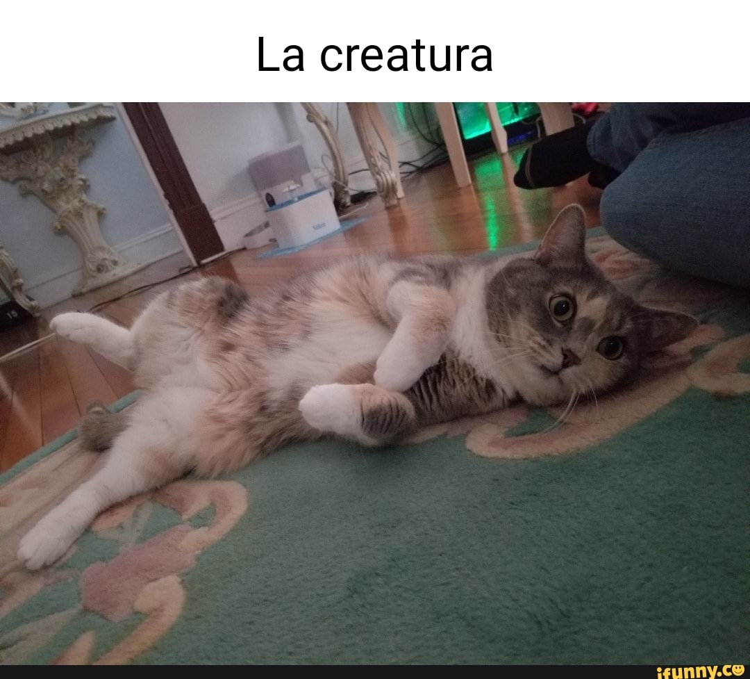 Creatura memes. Best Collection of funny Creatura pictures on iFunny