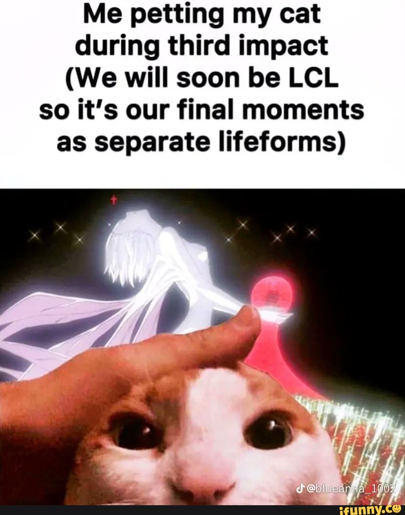 Me petting my cat during third impact (We will soon be LCL so it's our ...