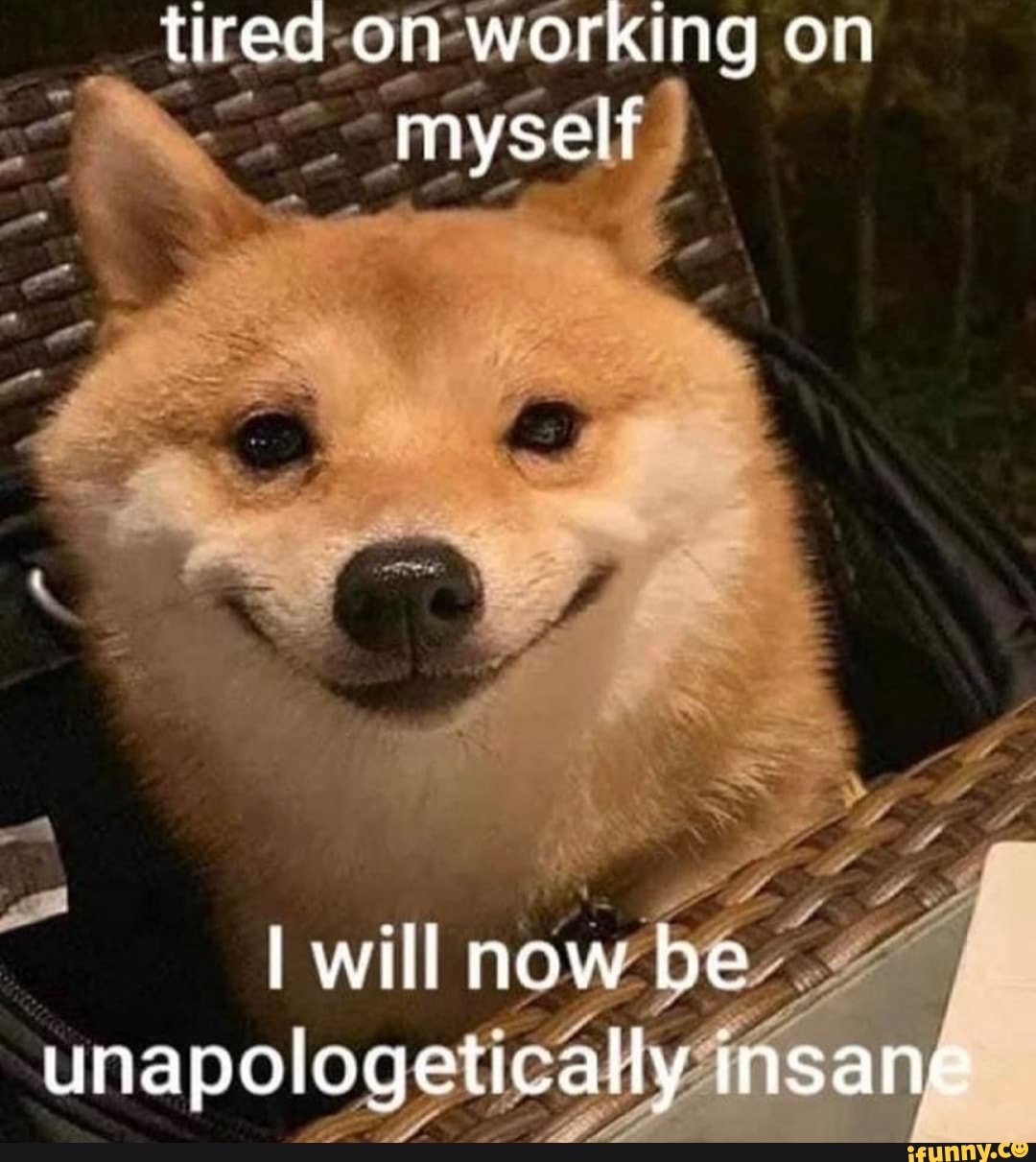 Tired on working on myself I will now be unapologetically insane - iFunny
