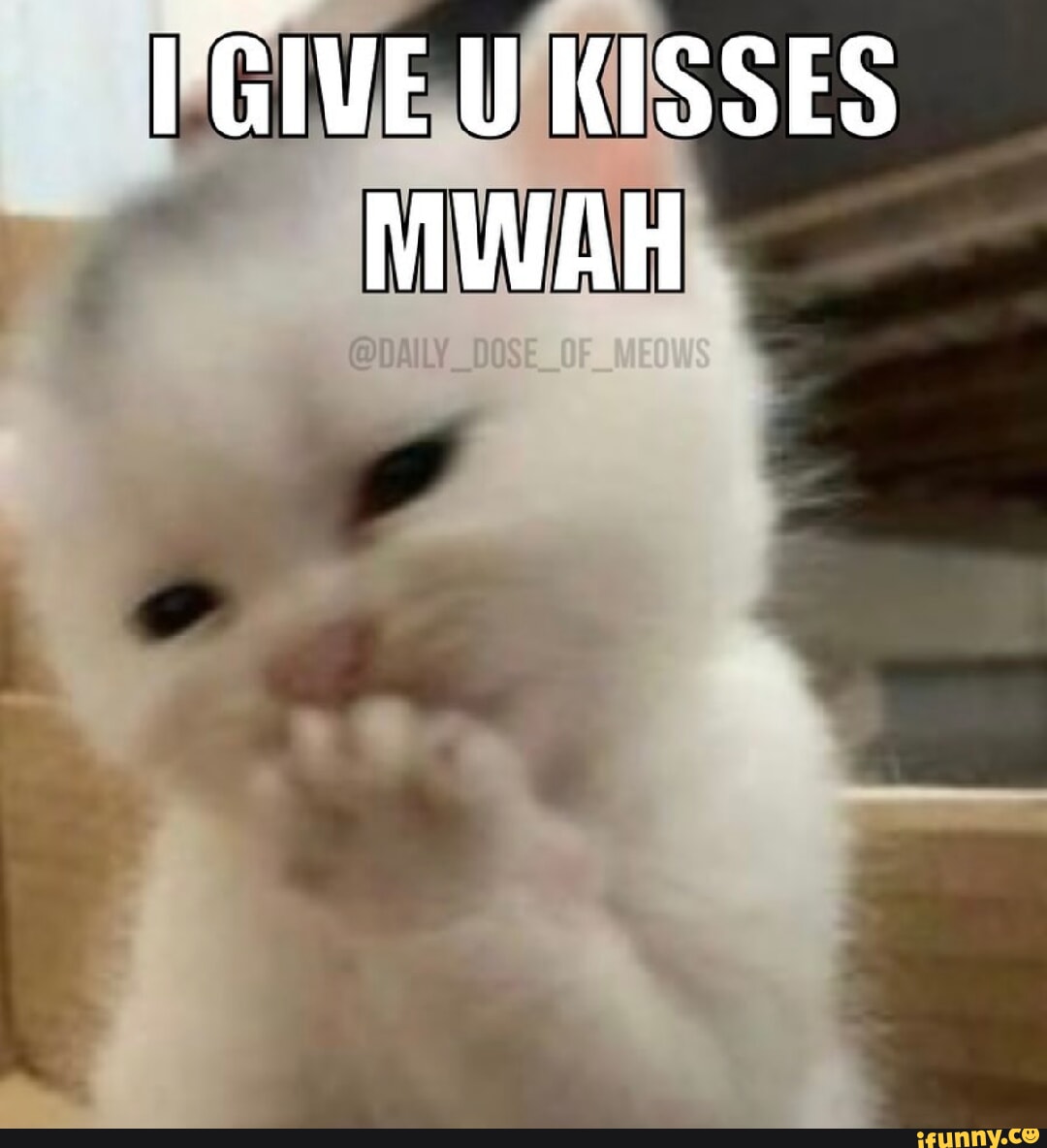 Mwah memes. Best Collection of funny Mwah pictures on iFunny