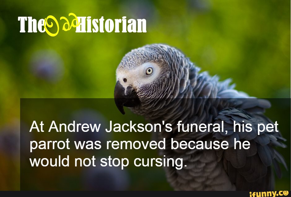 Sounds like his parrot - At Andrew Jackson's funeral, his pet parrot ...