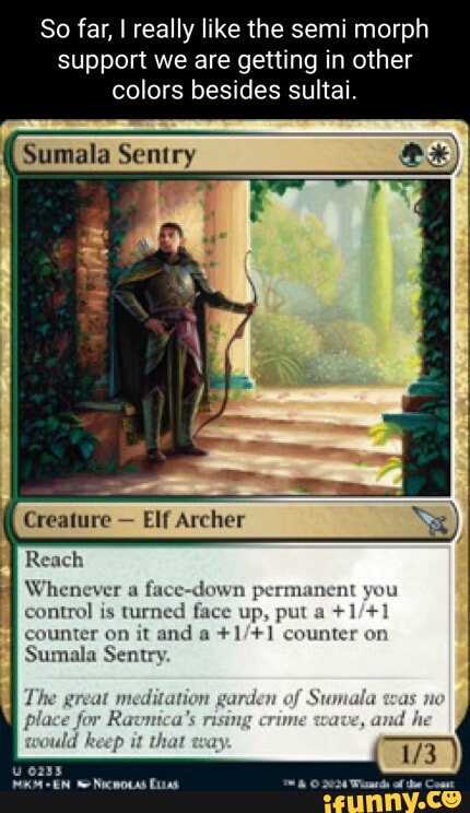 Sentry memes. Best Collection of funny Sentry pictures on iFunny