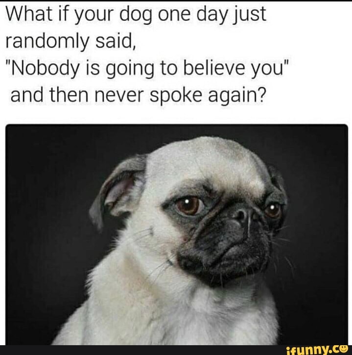 What if your dog one day just randomly said, "Nobody is going to ...