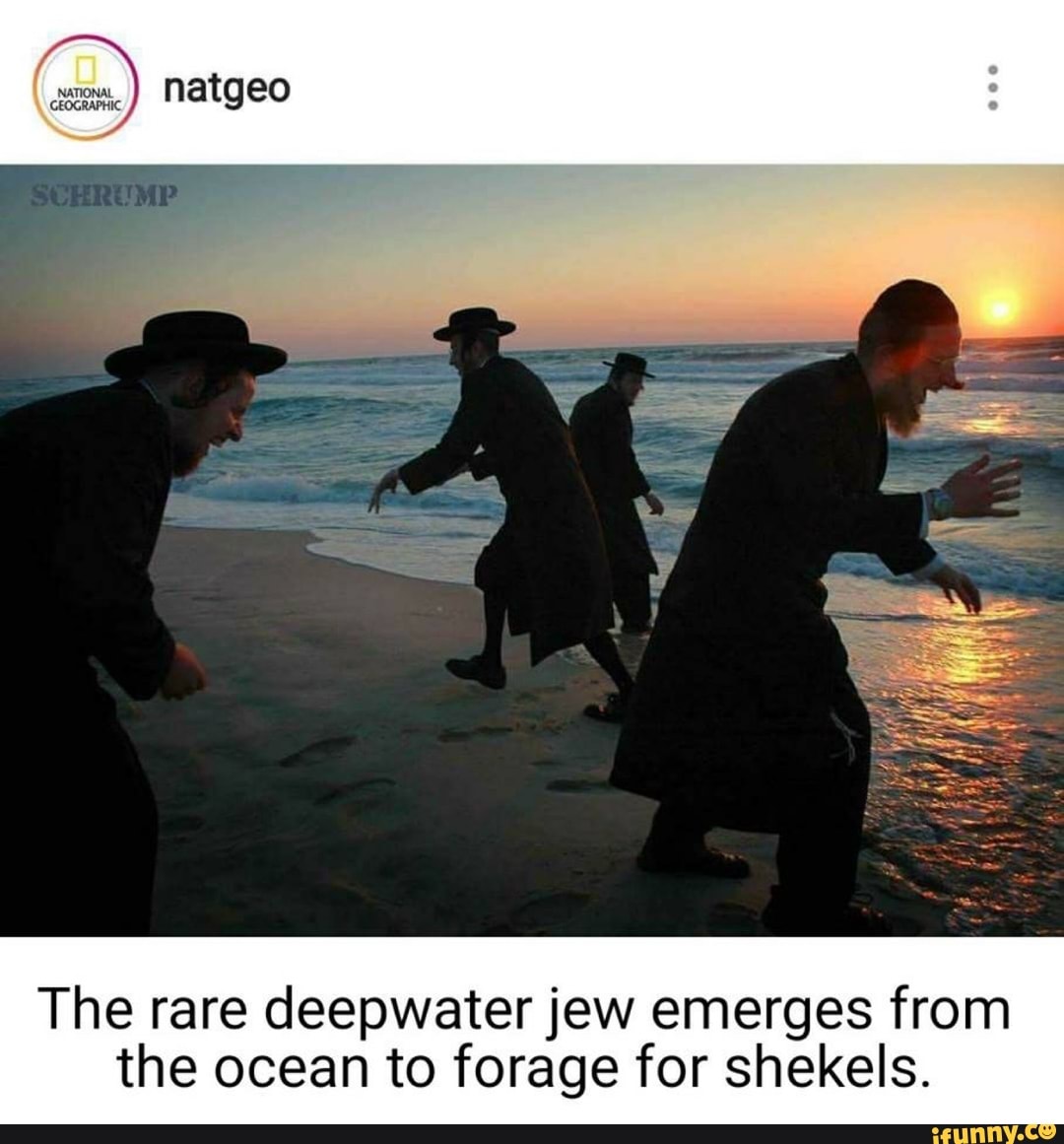 NATIONAL GEOGRAPHI natgeo The rare deepwater jew emerges from the ocean ...