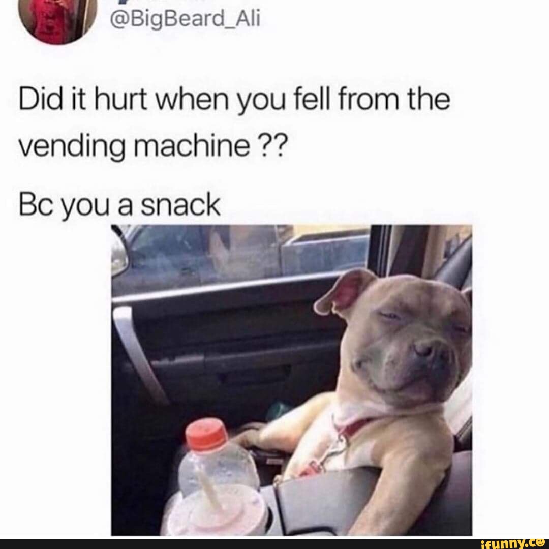 Did it hurt when you fell from the vending machine Bc you snack - iFunny