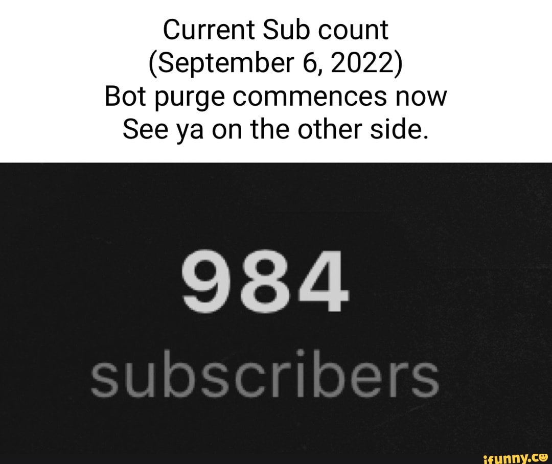Current Sub count (September 6, 2022) Bot purge commences now See ya on ...