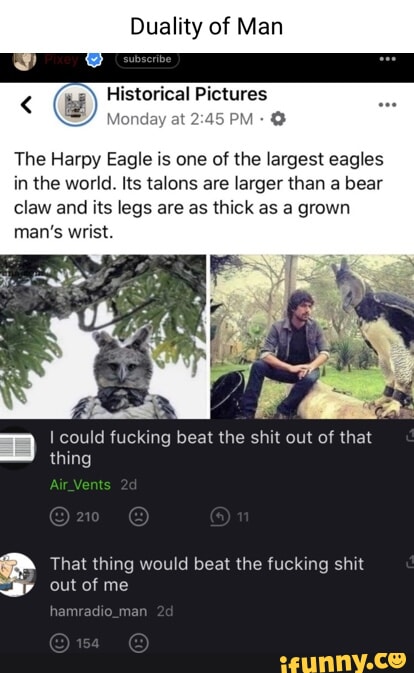 Harpy memes. Best Collection of funny Harpy pictures on iFunny