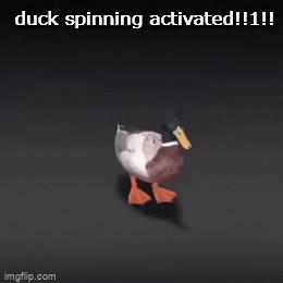 Spinningduck memes. Best Collection of funny Spinningduck pictures on ...