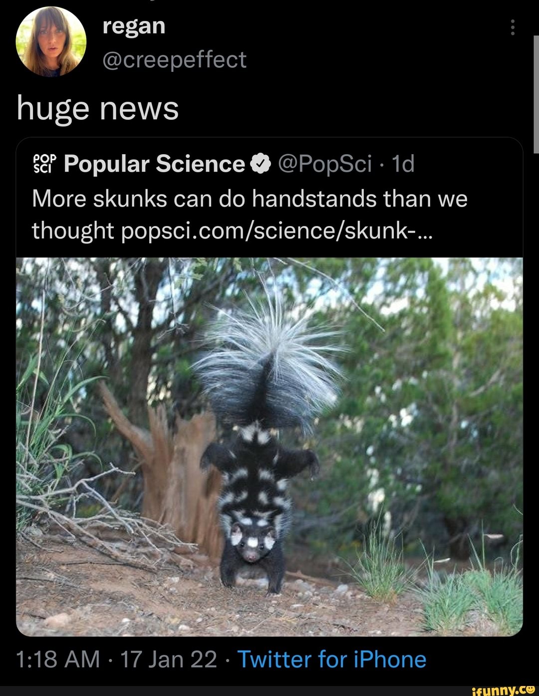 Handstands memes. Best Collection of funny Handstands pictures on iFunny