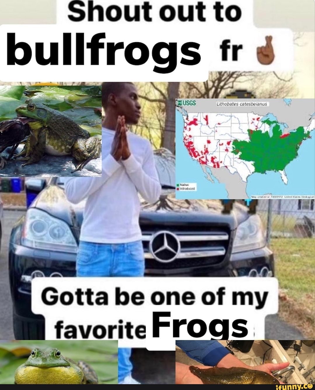Bullfrogs memes. Best Collection of funny Bullfrogs pictures on iFunny