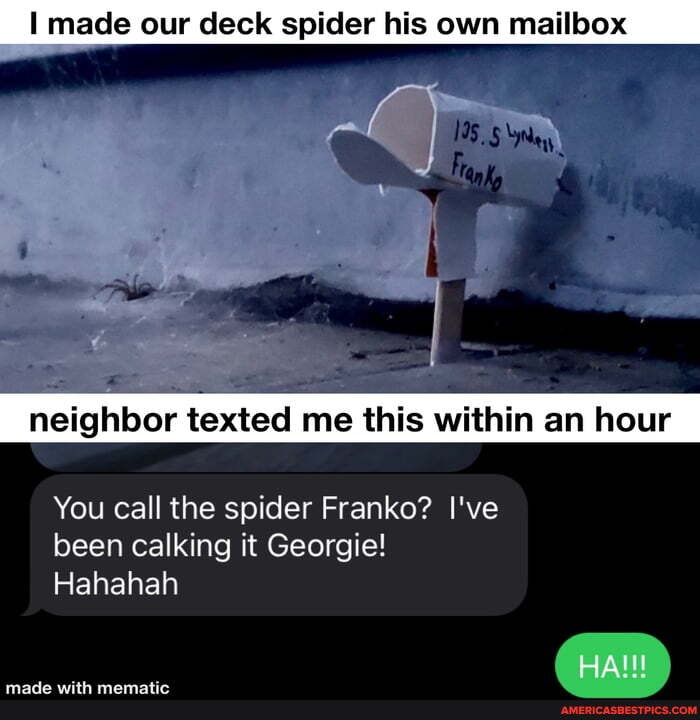 I made our deck spider his own mailbox 185, neighbor texted me this ...