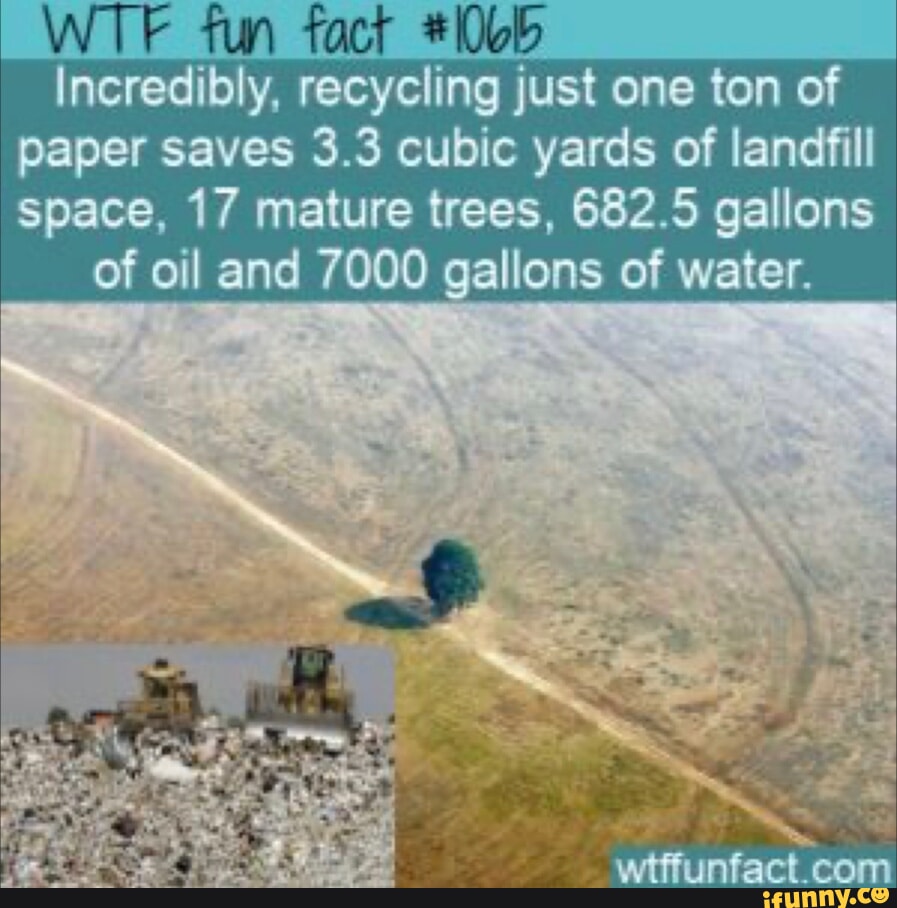 Landfill memes. Best Collection of funny Landfill pictures on iFunny