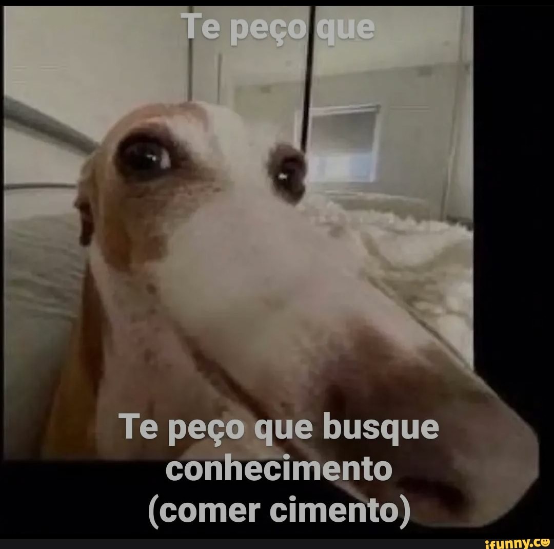 Te Te peço que busque conhecimento (comer cimento) - iFunny Brazil