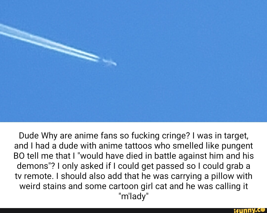 If Dude Why are anime fans so fucking cringe? I was in target, and I ...