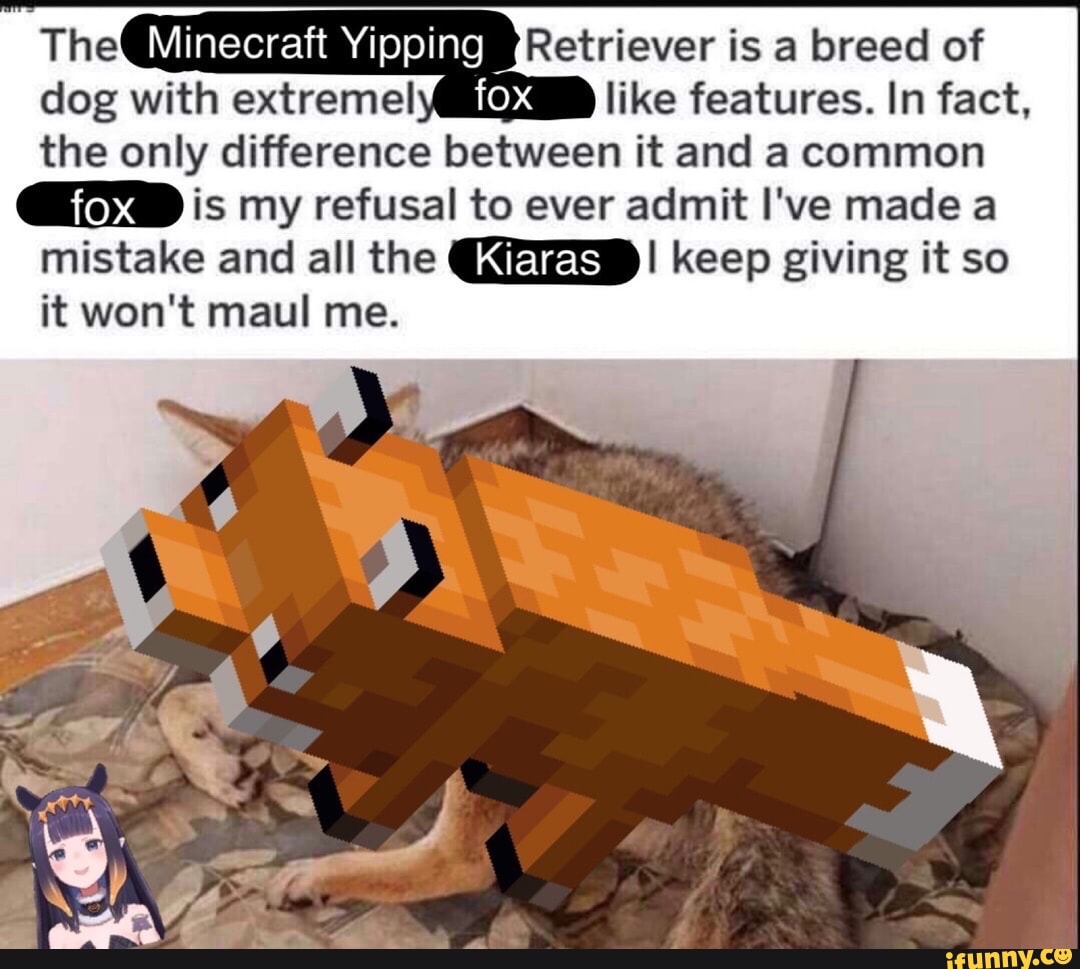 He dog with Yipping like Retriever is a breed features. In of fact, dog ...