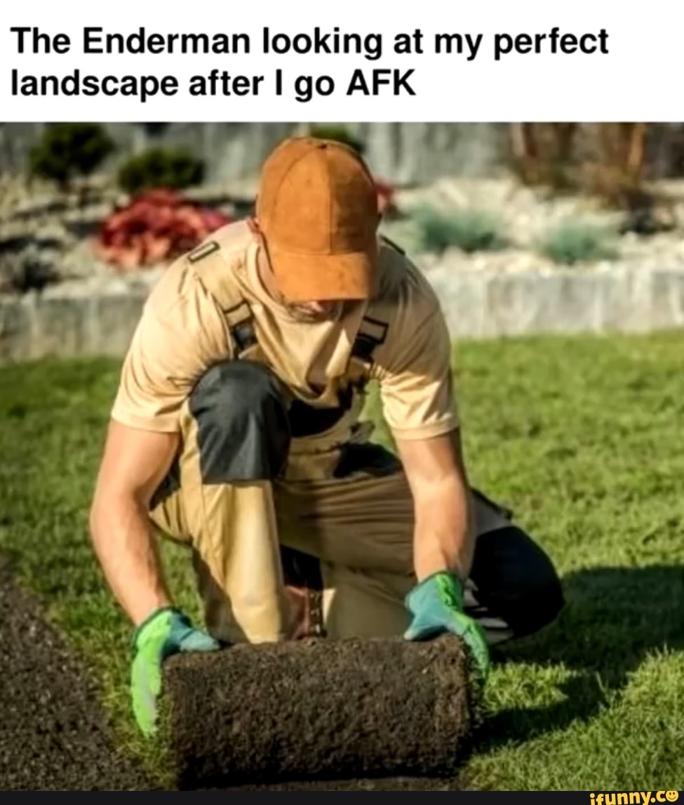 Landscape memes. Best Collection of funny Landscape pictures on iFunny