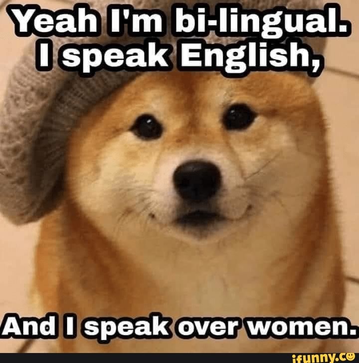 Bilinguals memes. Best Collection of funny Bilinguals pictures on iFunny