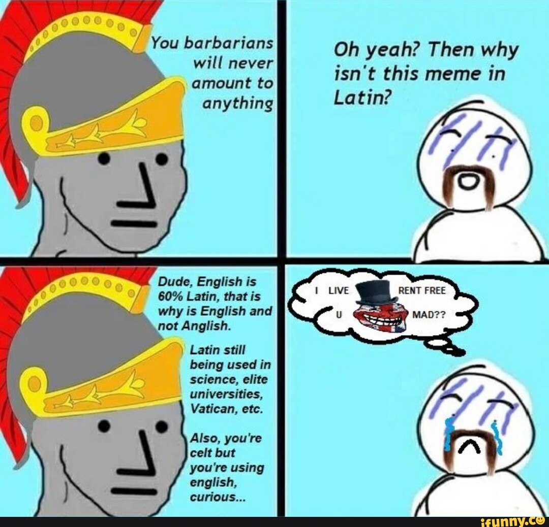 Anglish memes. Best Collection of funny Anglish pictures on iFunny