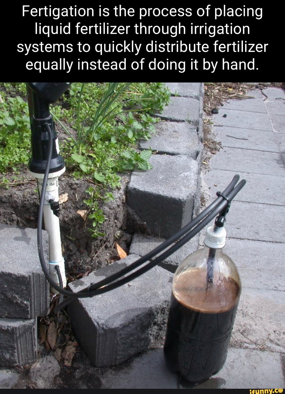 Fertigation memes. Best Collection of funny Fertigation pictures on iFunny