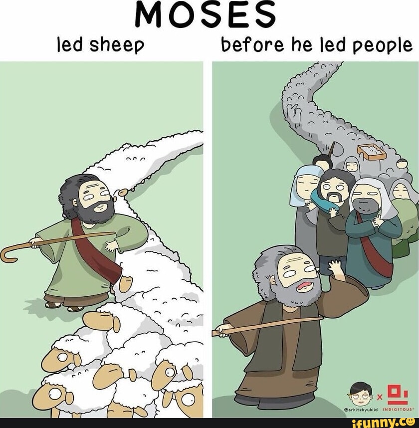 MOSES led sheep before he led people - iFunny