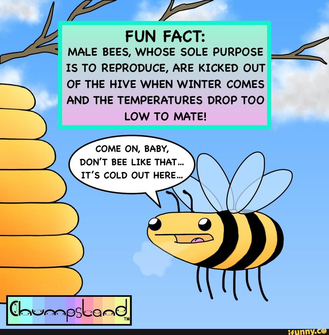 Sole memes. Best Collection of funny Sole pictures on iFunny