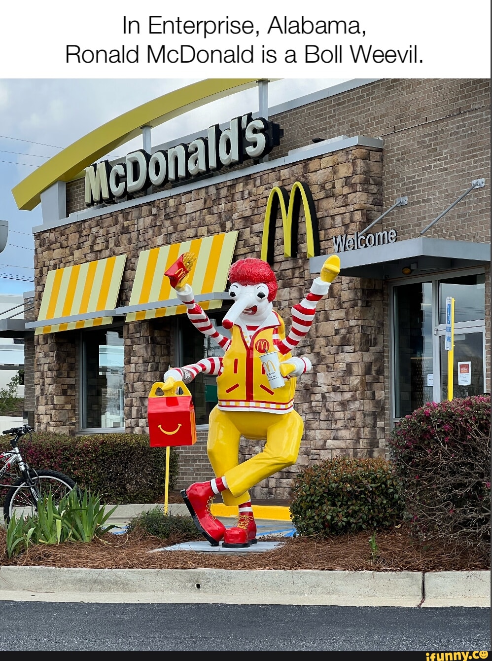 Weevil memes. Best Collection of funny Weevil pictures on iFunny